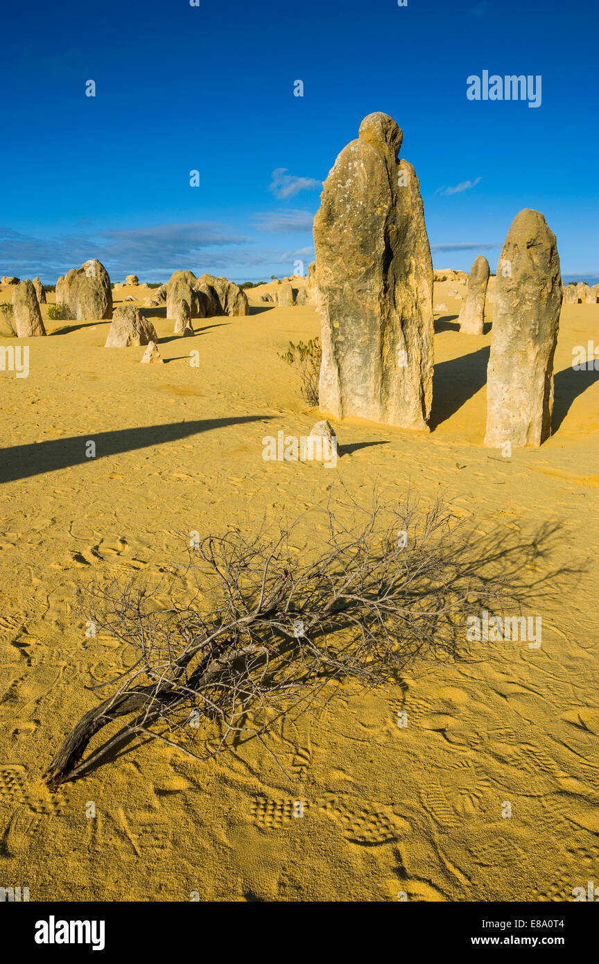 The Pinnacles limestone formations, Nambung National Park, Western ...