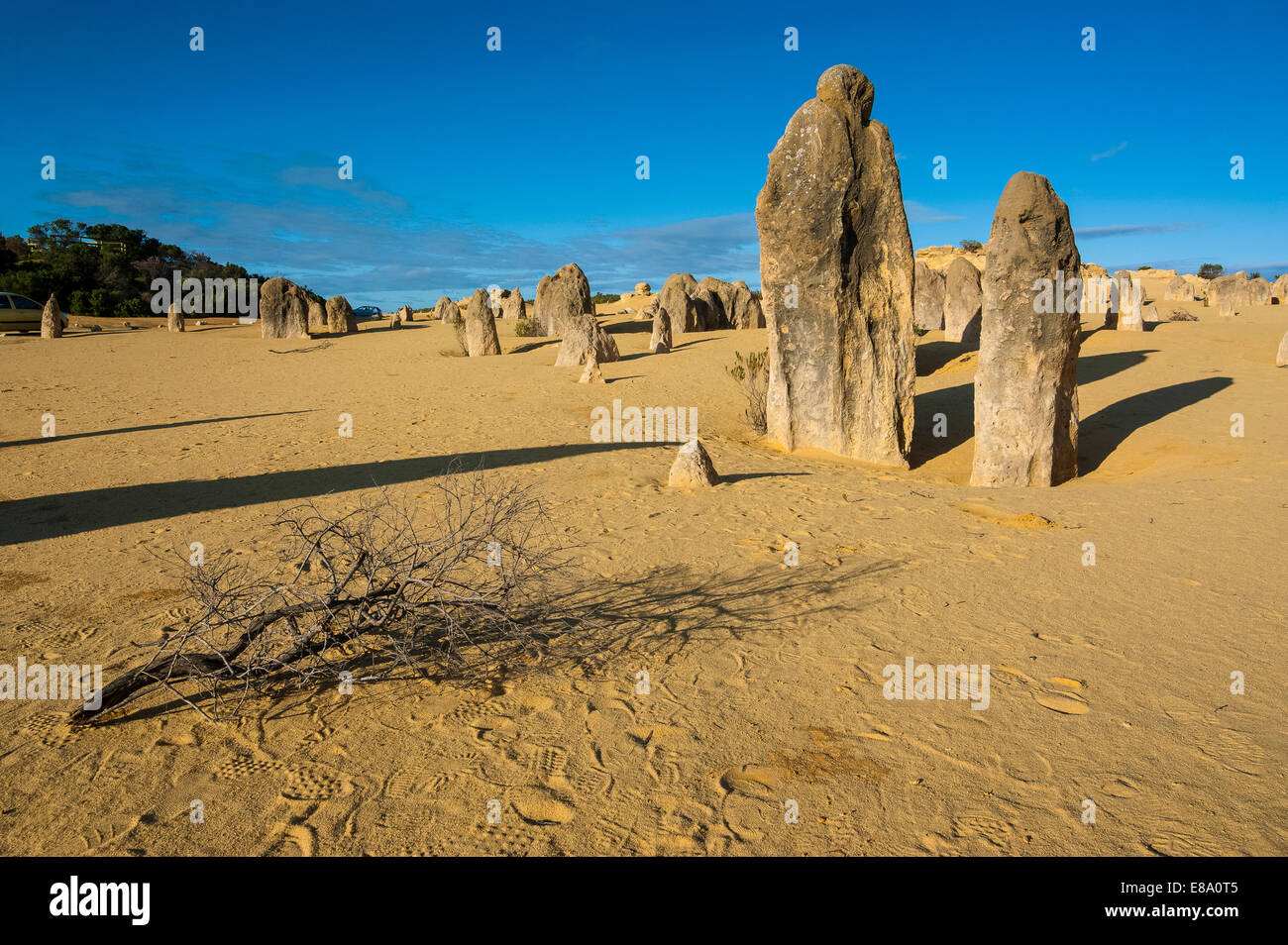 The Pinnacles limestone formations, Nambung National Park, Western ...
