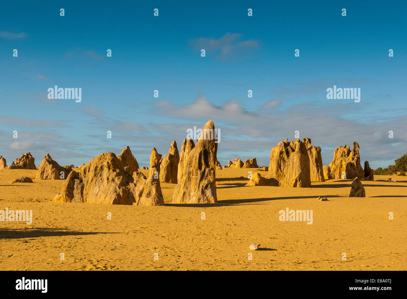 The Pinnacles limestone formations, Nambung National Park, Western ...