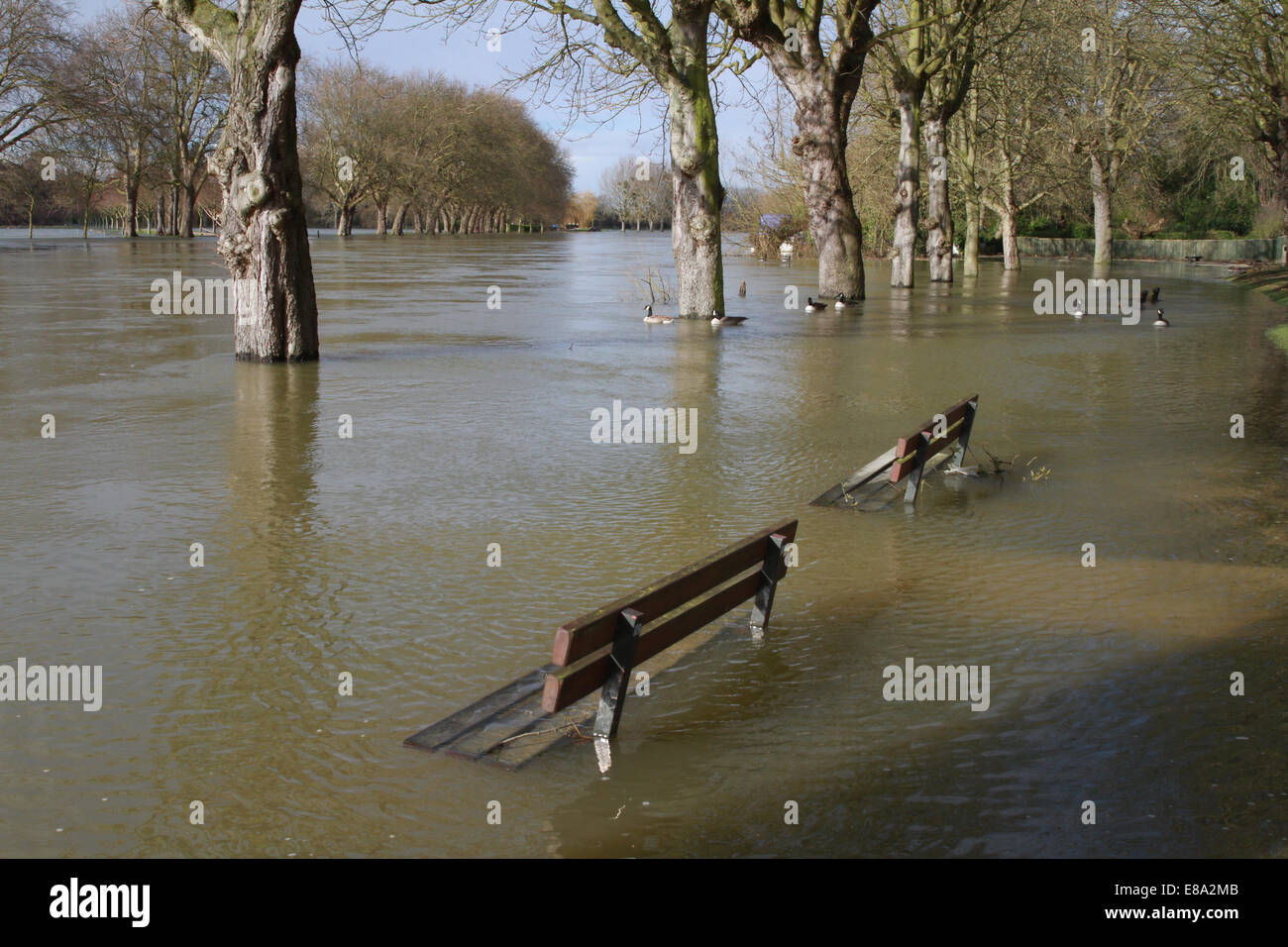 floods in Surrey 2014 - Datchet, Thorpe, Staines Stock Photo - Alamy