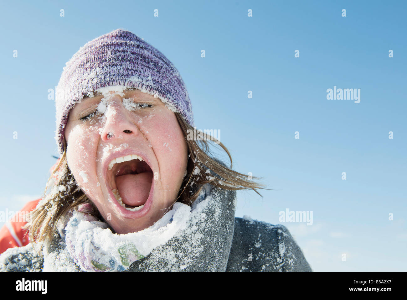 Woolly Snowball High Resolution Stock Photography and Images - Alamy