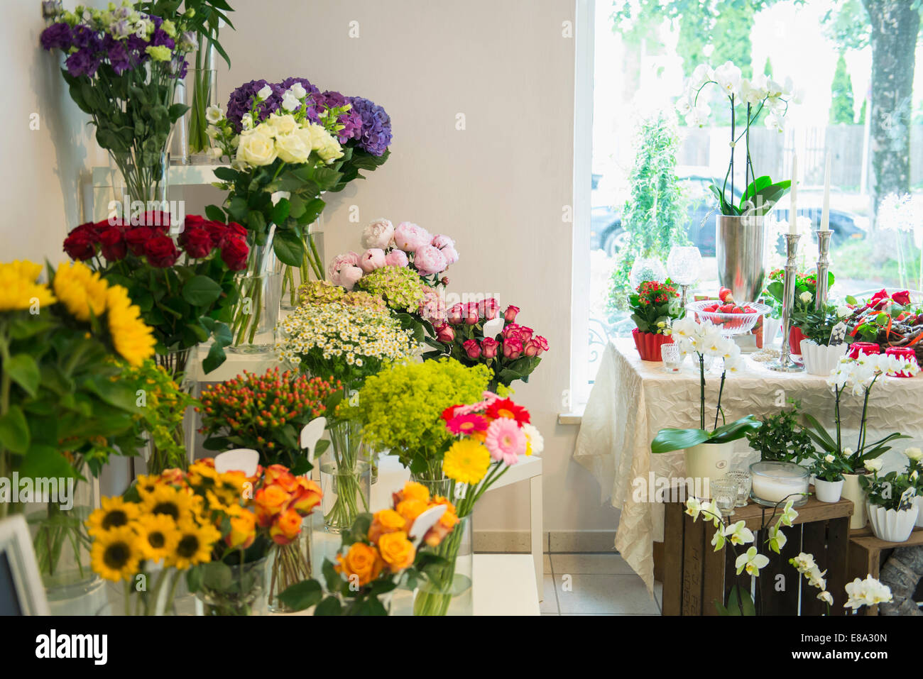 Shop interiors with plants hi-res stock photography and images - Alamy
