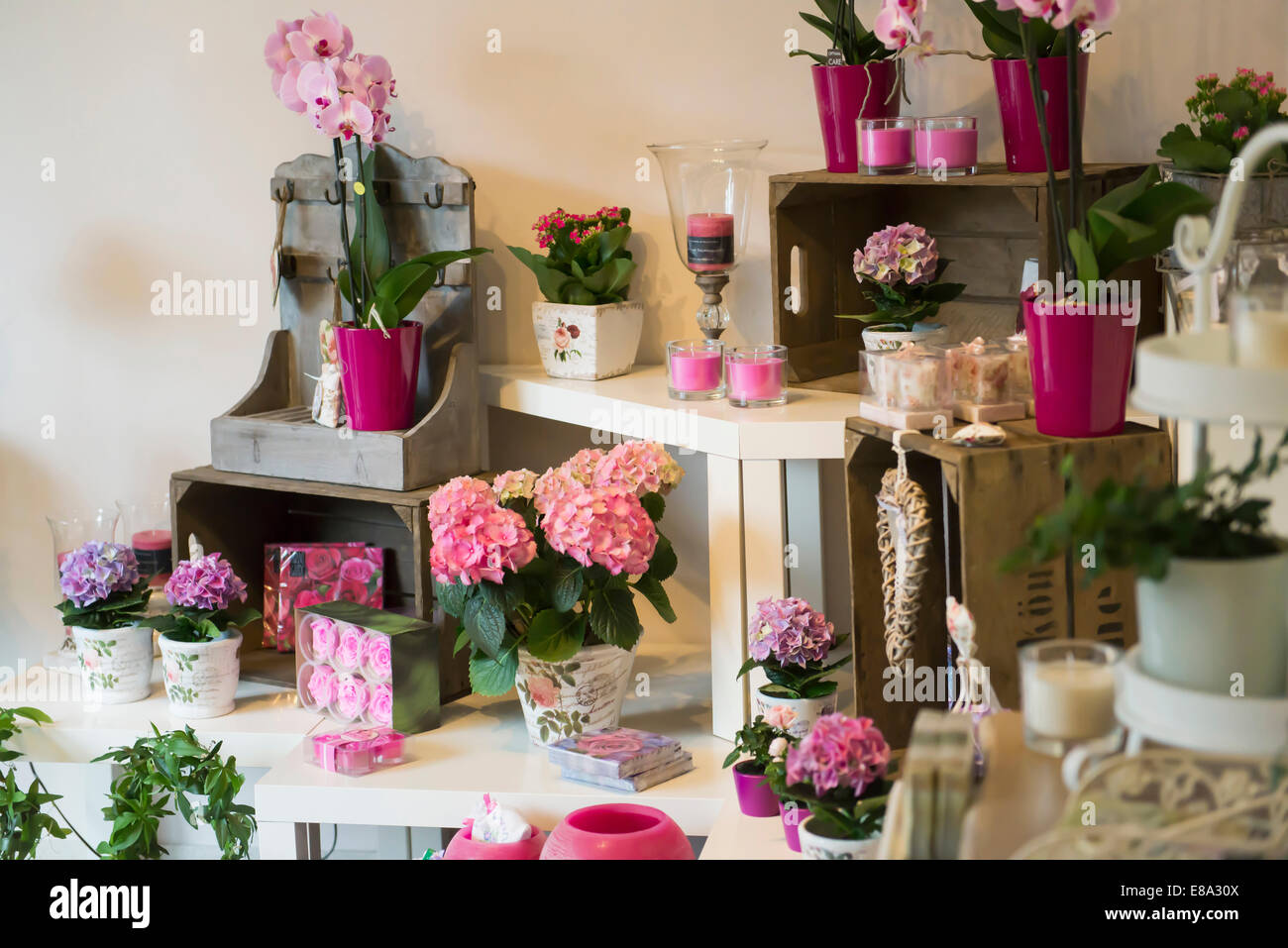 Interior of flower shop Stock Photo - Alamy