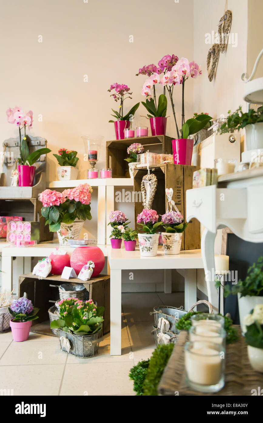 Flower Shop Design Layouts
