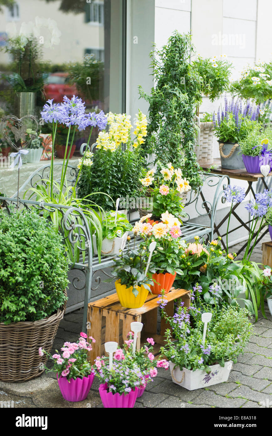 Fiower High Resolution Stock Photography and Images - Alamy