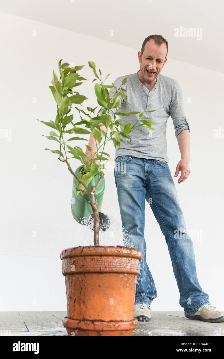 Mature man watering little tree Stock Photo - Alamy
