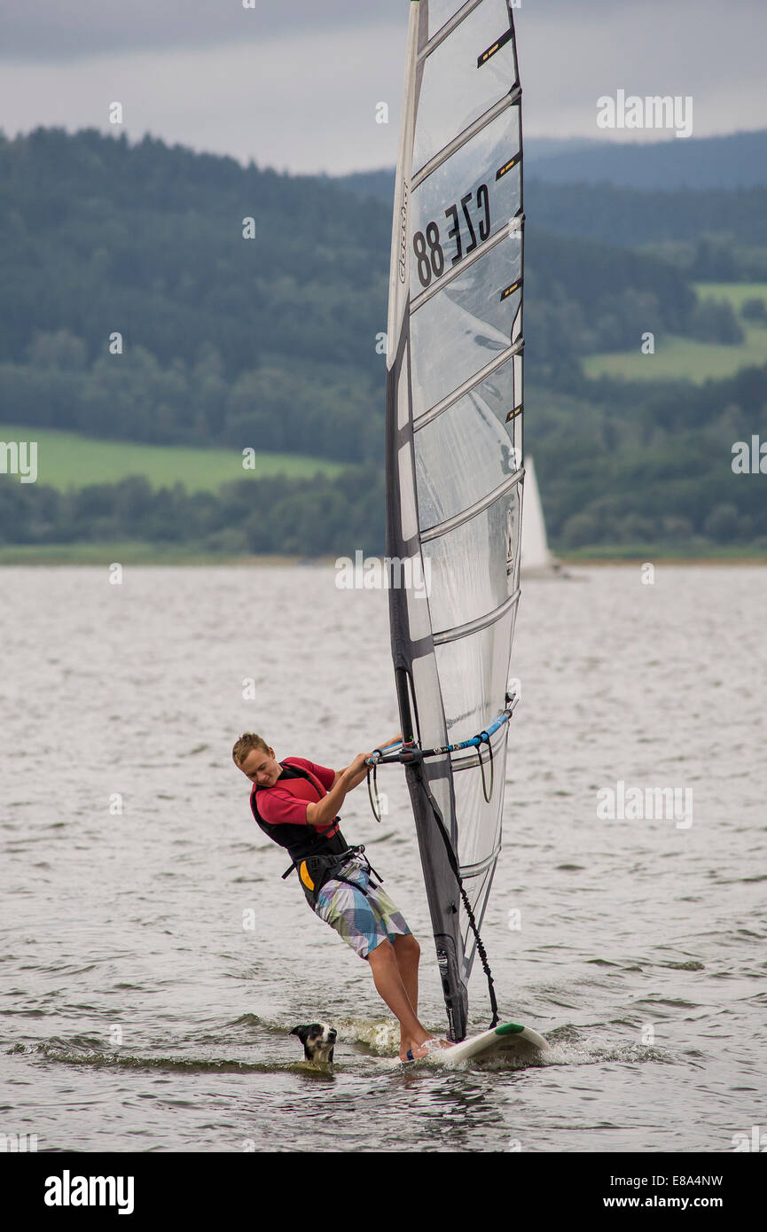 dog on the windsurf Stock Photo - Alamy