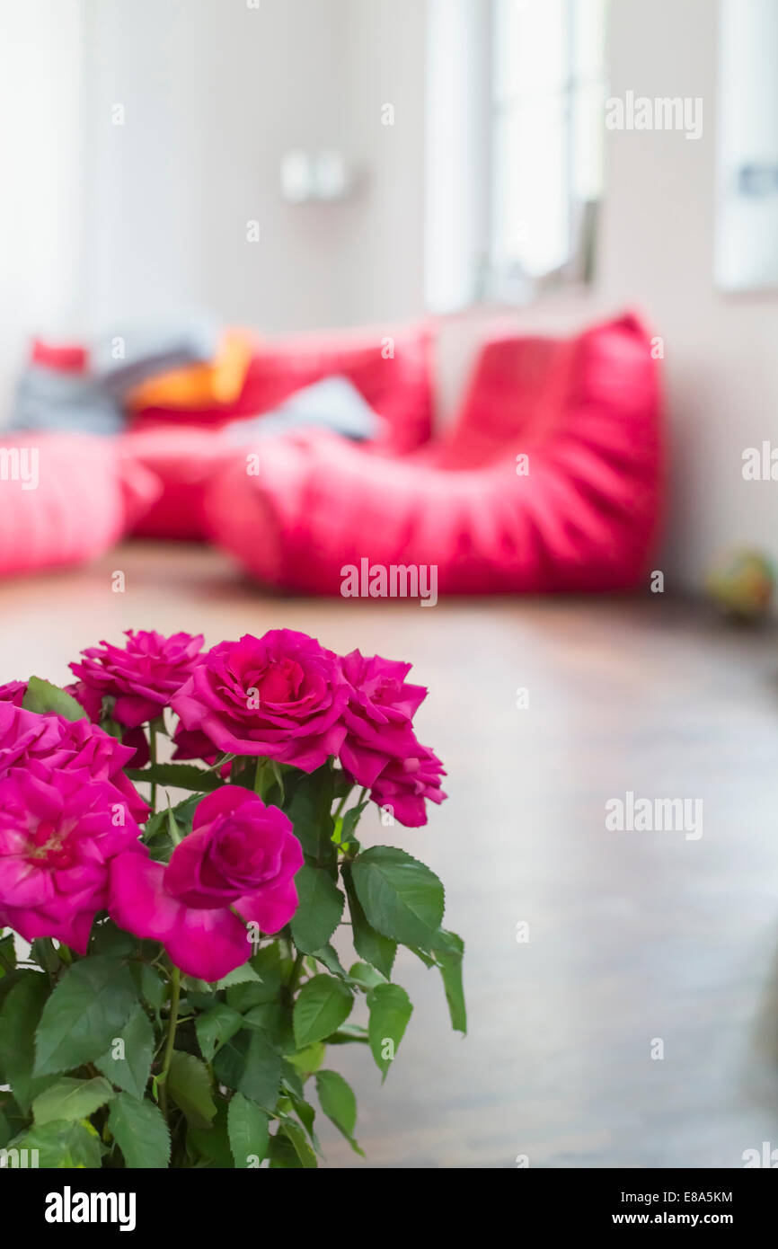 Interior of livingroom with roses Stock Photo - Alamy