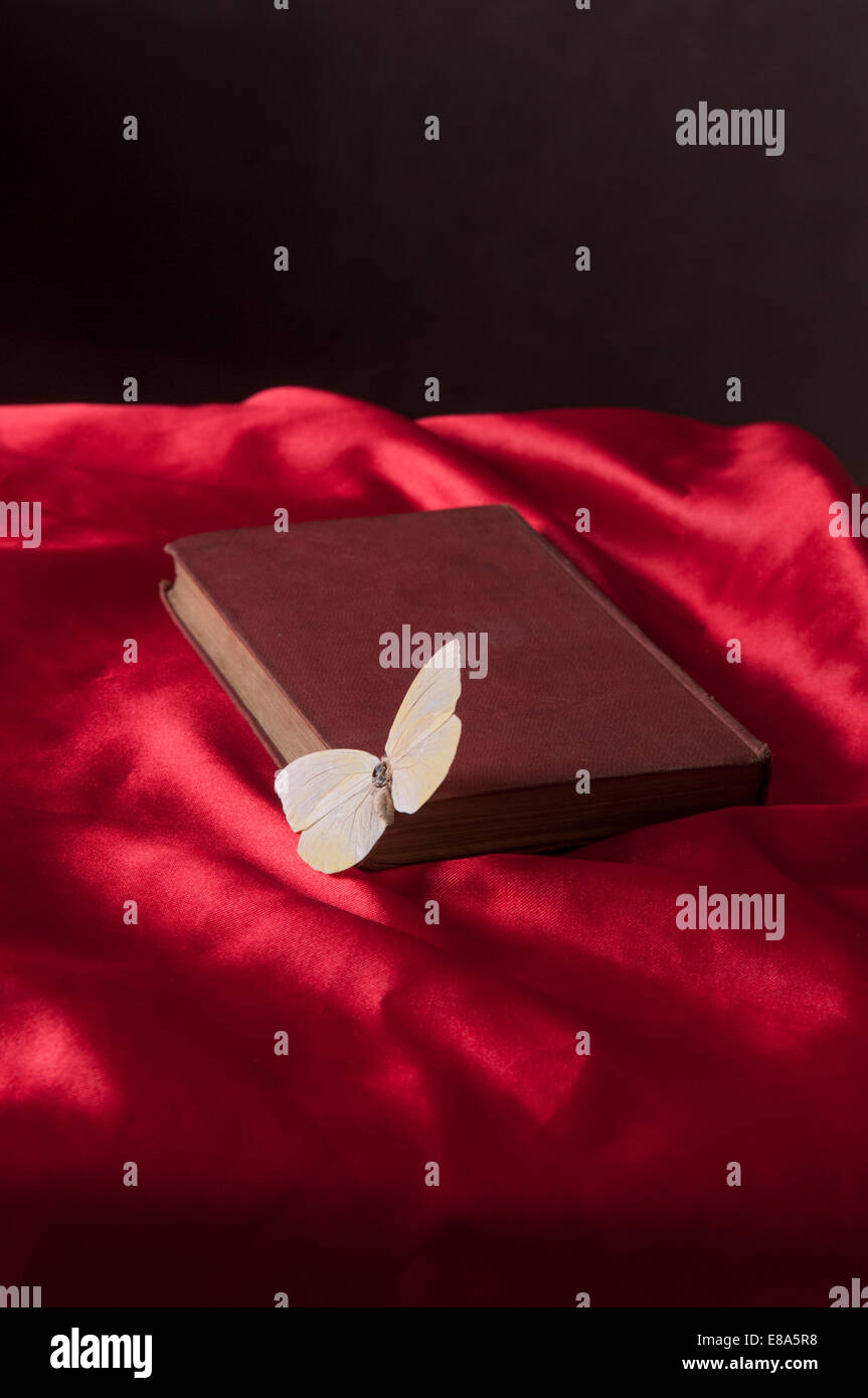 Butterfly book hi-res stock photography and images - Alamy