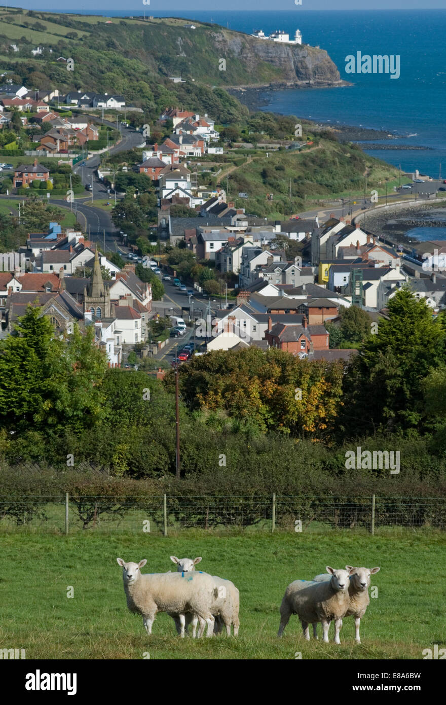 Whitehead & Blackhead lighthouse, from the 'Blah Hole' Stock Photo - Alamy