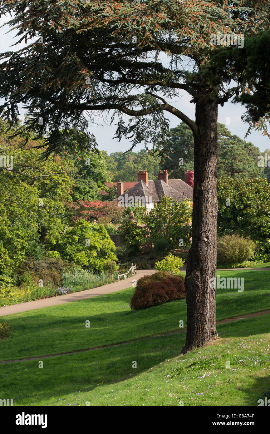 RHS Wisley gardens in autumn. Surrey, England Stock Photo - Alamy
