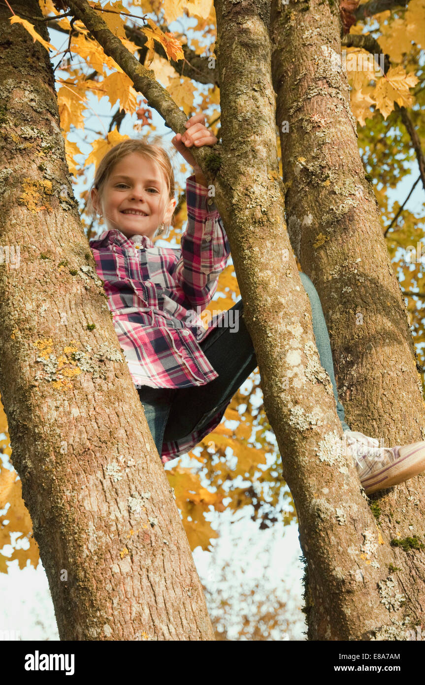 Girl climbing tree Stock Photo - Alamy