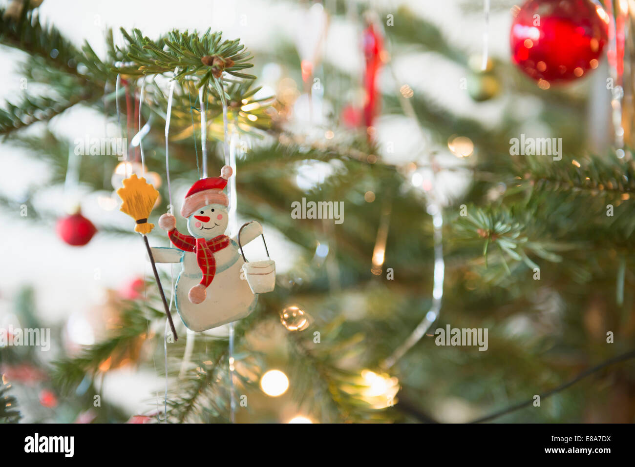 Fir tree photos hi-res stock photography and images - Alamy