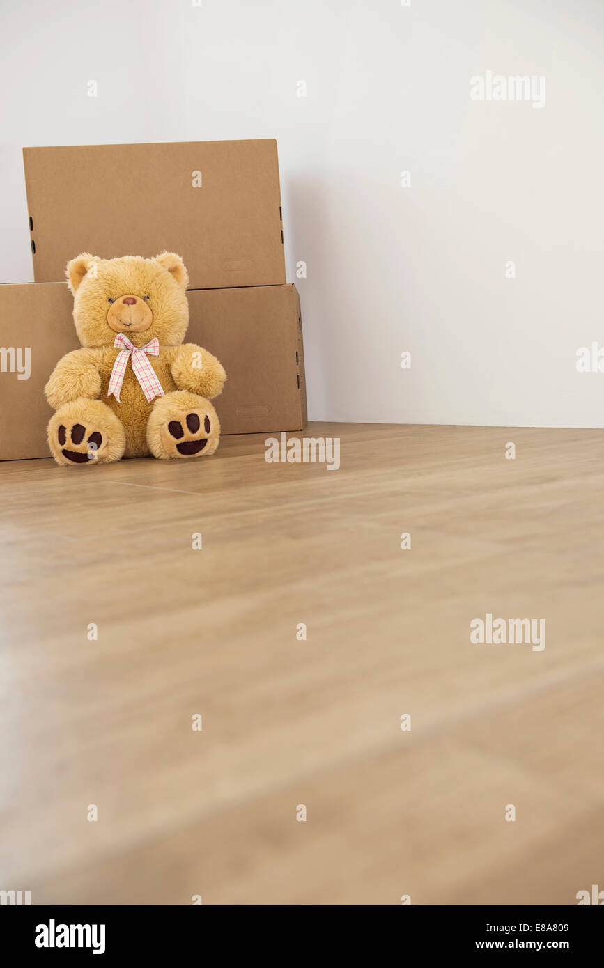 Teddy bear wooden floor alone cardboard boxes Stock Photo - Alamy