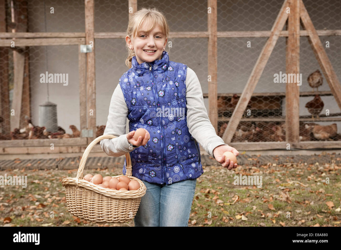 Child collecting eggs chicken hi-res stock photography and images - Alamy
