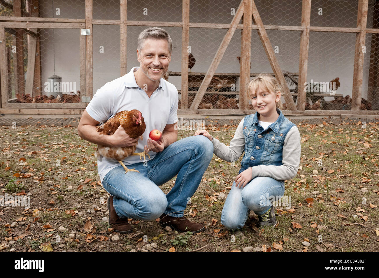 Father and daughter with chicken on organic farm Stock Photo - Alamy