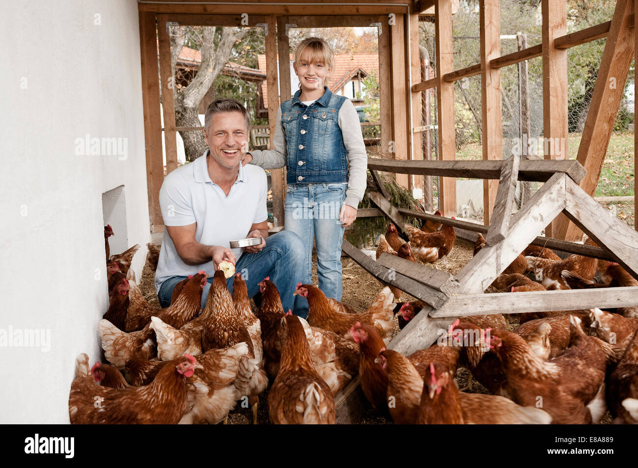 Father and daughter in henhouse on organic farm Stock Photo - Alamy