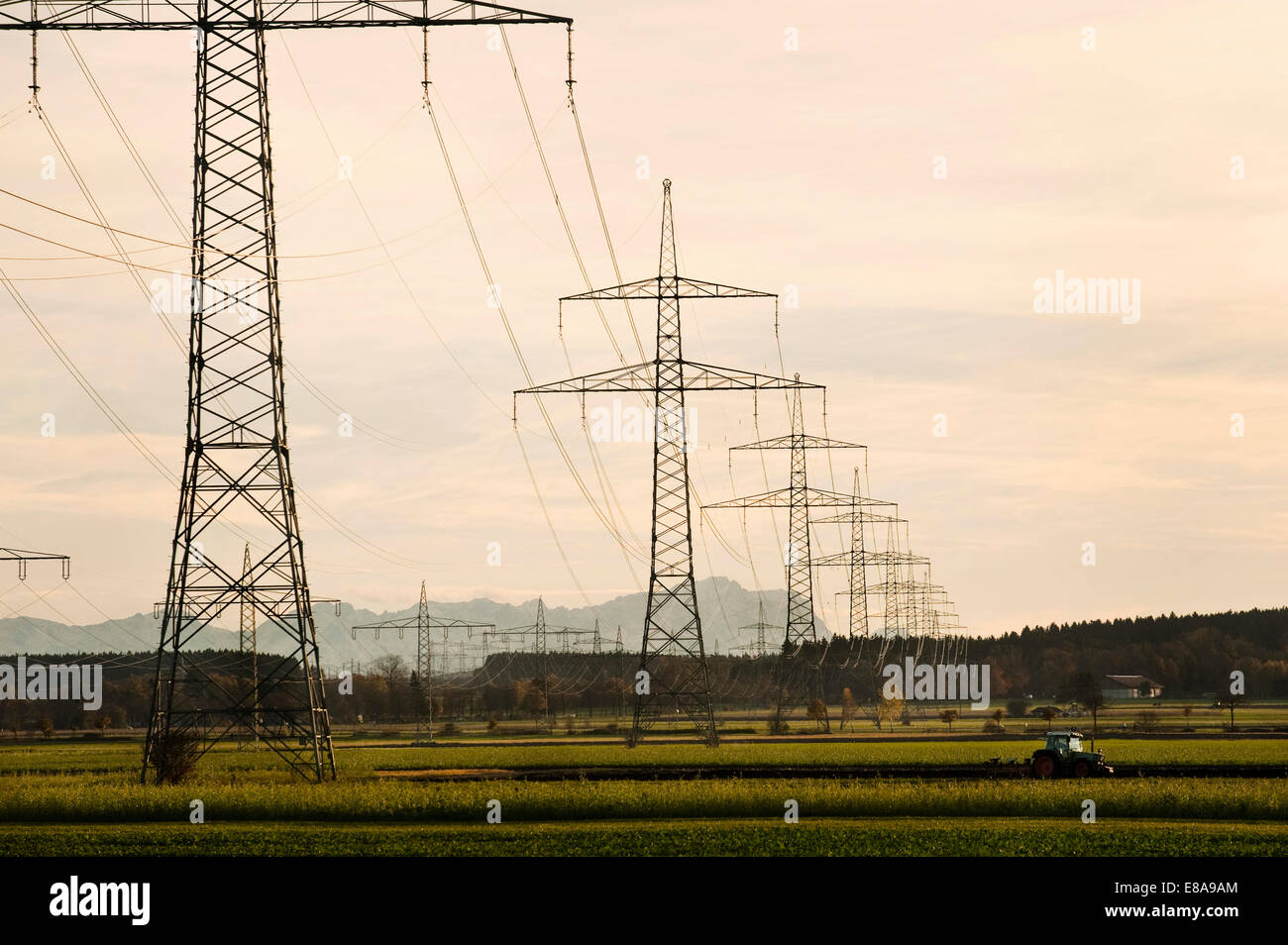 View of power pole and field, Bavaria, Germany Stock Photo - Alamy