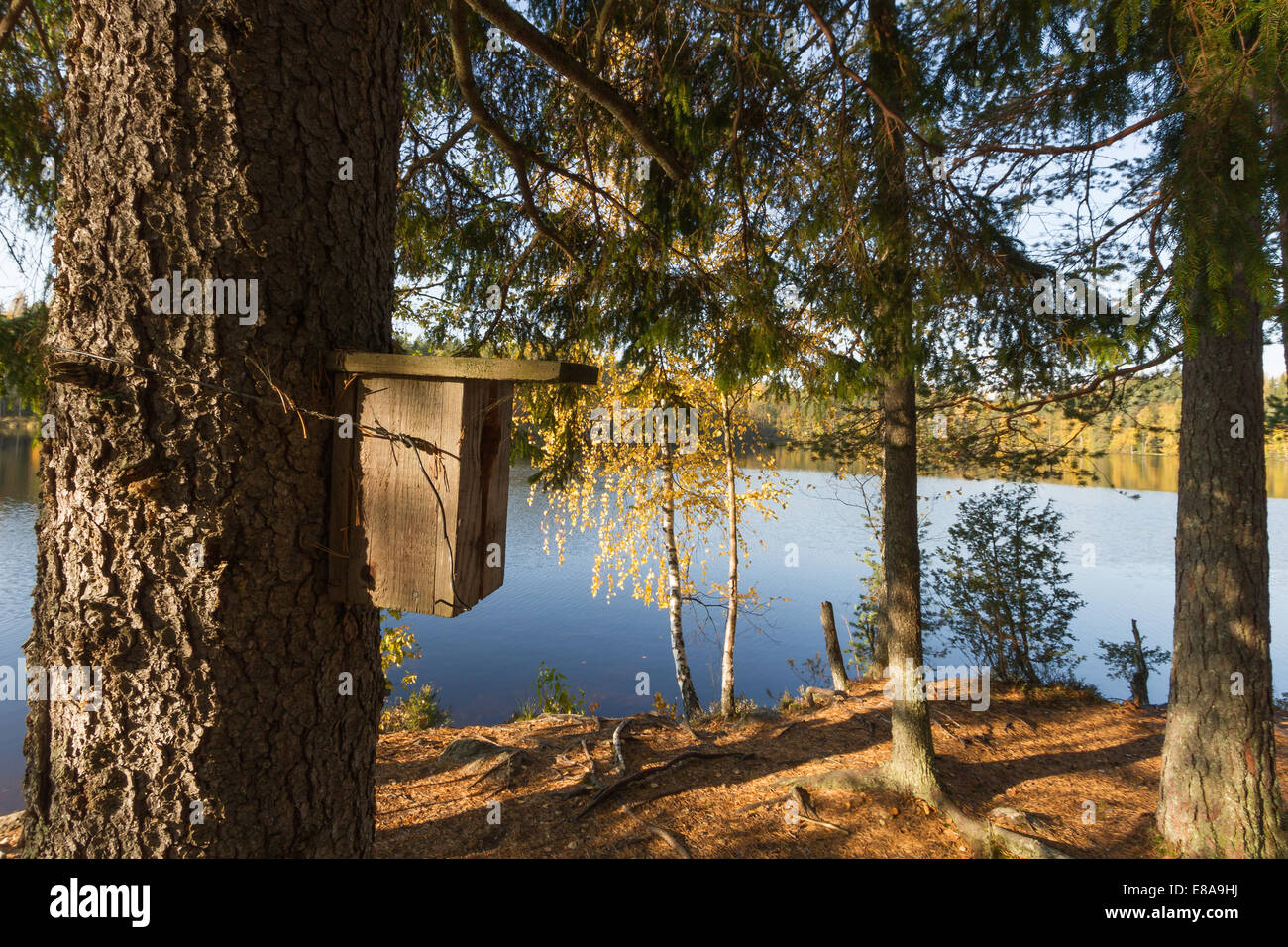 birdhouse at lake Stock Photo - Alamy