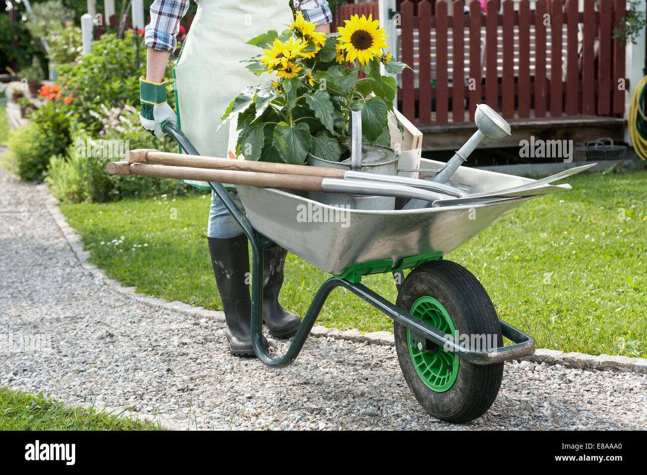 Woman pushing wheelbarrow hi-res stock photography and images - Alamy