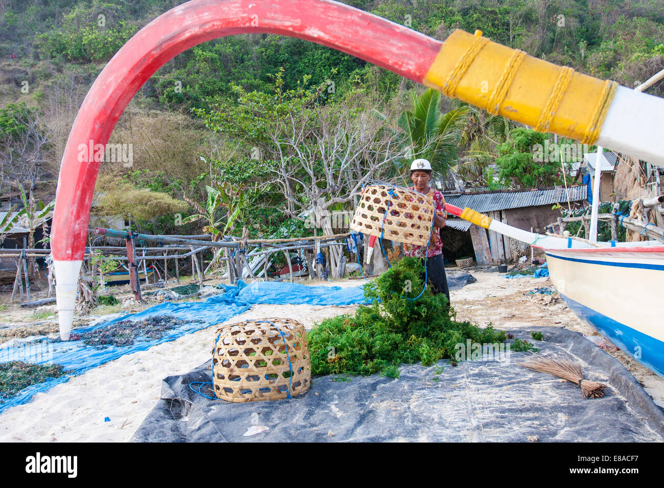 Algae farm hi-res stock photography and images - Alamy