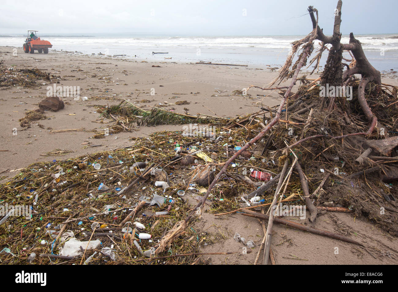 Asian people collecting garbage on beach Stock Photo - Alamy