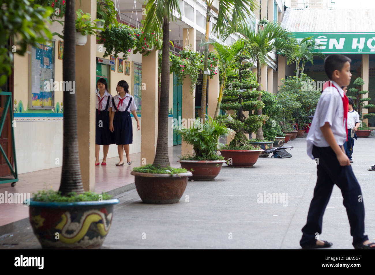 School in Saigon, Ho Chi Minh City, Vietnam Stock Photo - Alamy