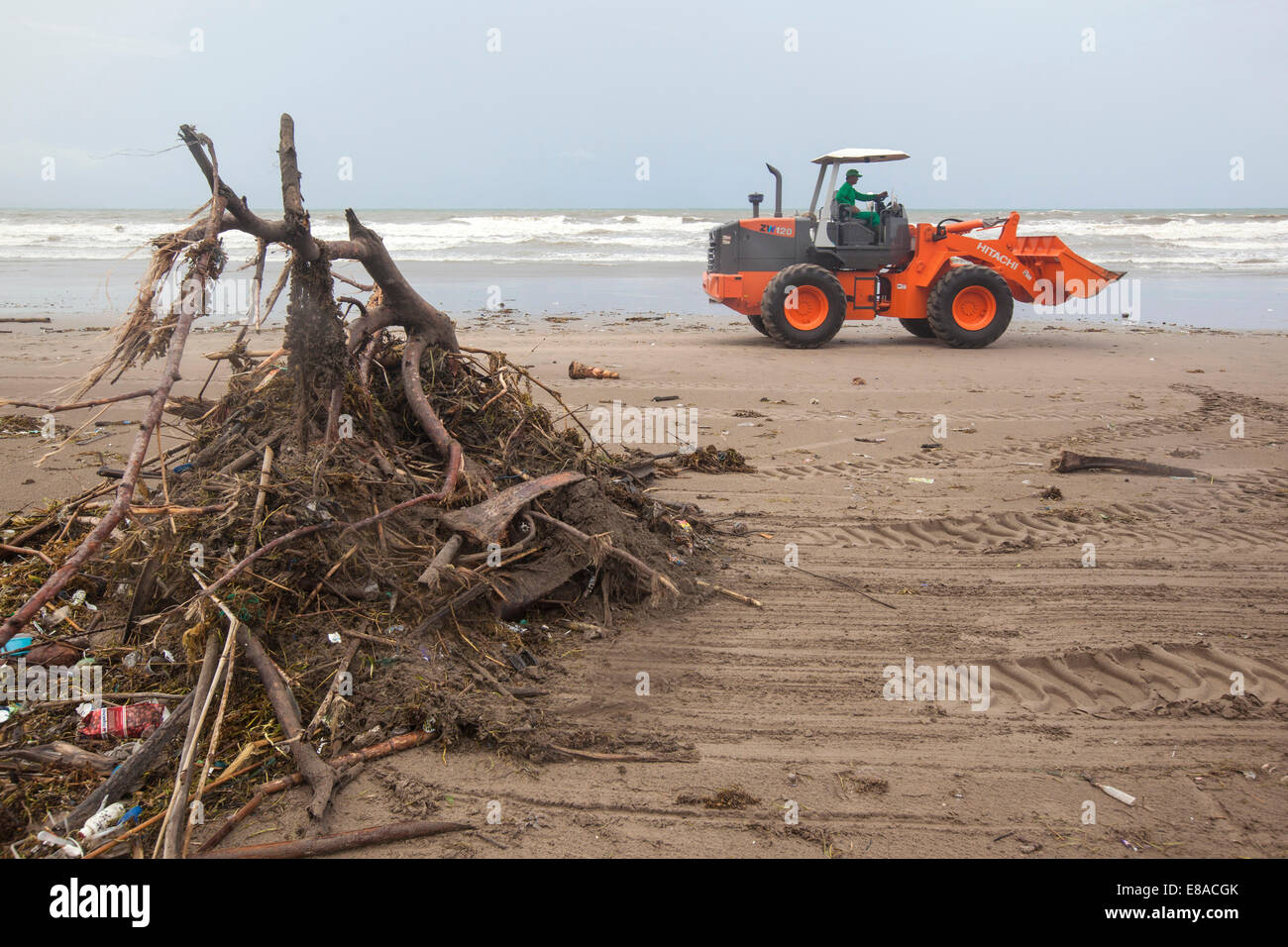 Asian people collecting garbage on beach Stock Photo - Alamy