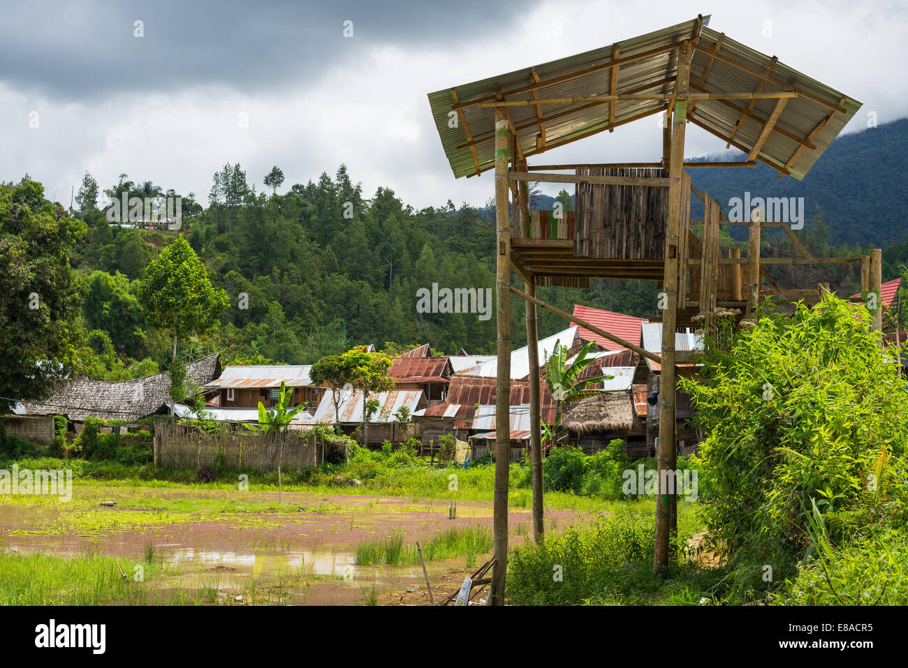 Traditional village in the remote Mamasa Valley, West Tana Toraja ...