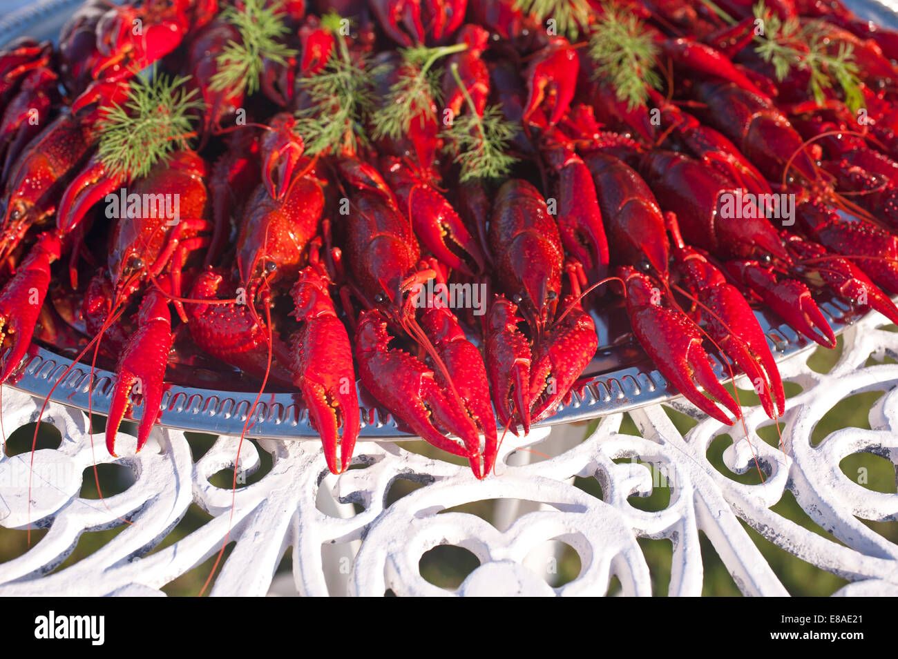 Crawfishes hi-res stock photography and images - Alamy