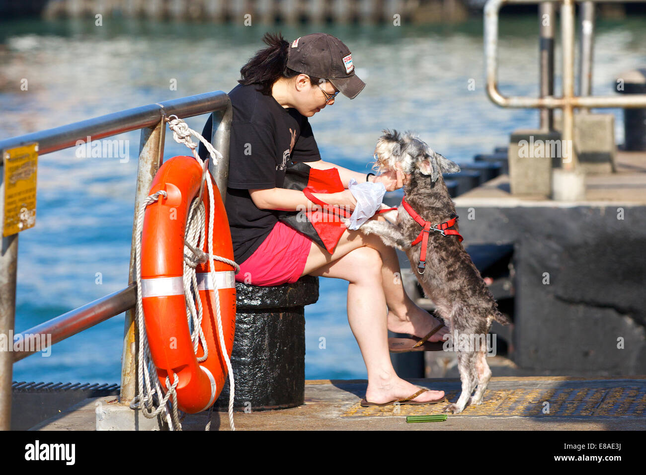 Asian Woman Playing Dog Stock Photos & Asian Woman Playing Dog Stock ...
