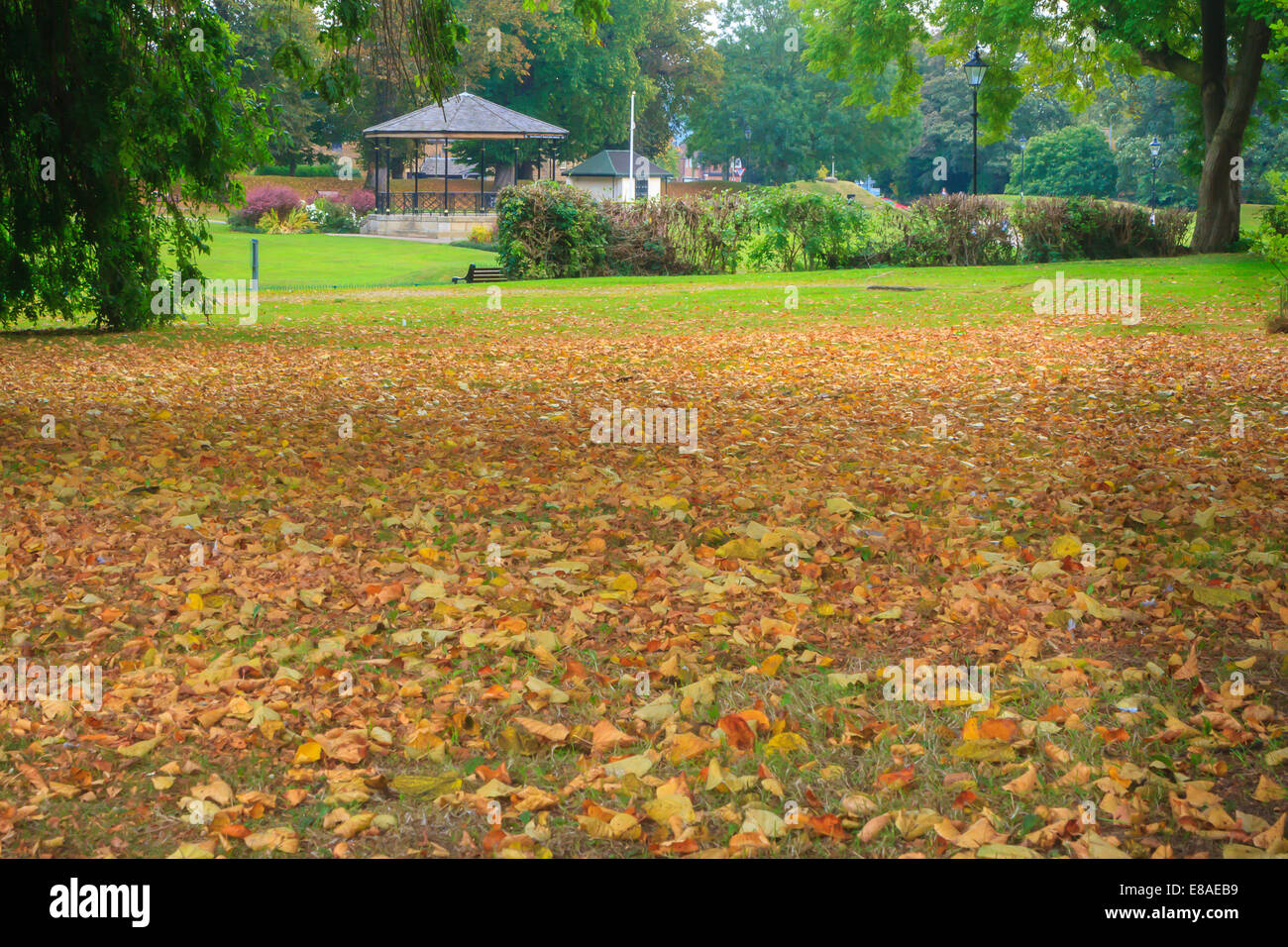 Windy weather trees hi-res stock photography and images - Alamy