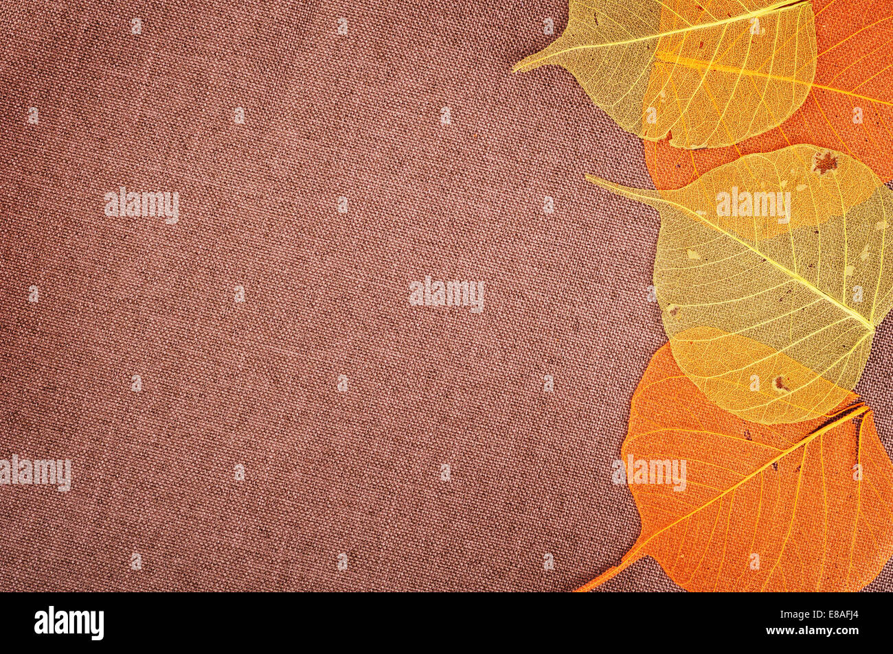 Autumn background with orange leaves and fabric texture Stock Photo - Alamy