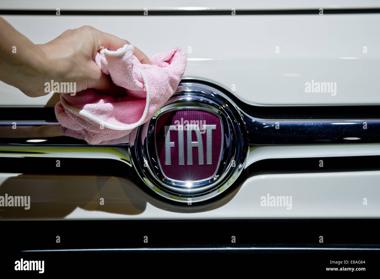 Paris, France. 3rd Oct, 2014. The logo of Fiat is pictured during the ...