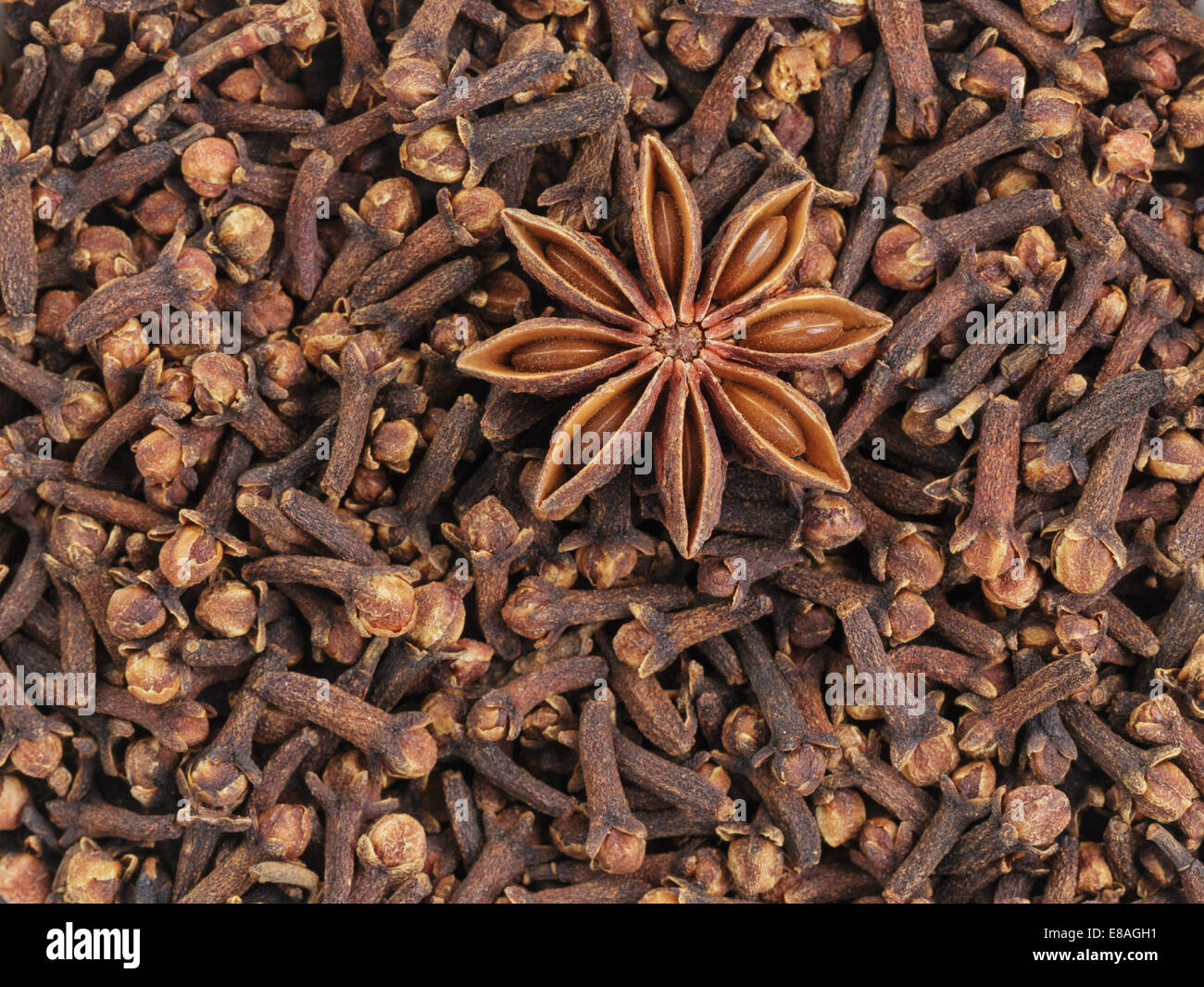Star anise plant hi-res stock photography and images - Alamy