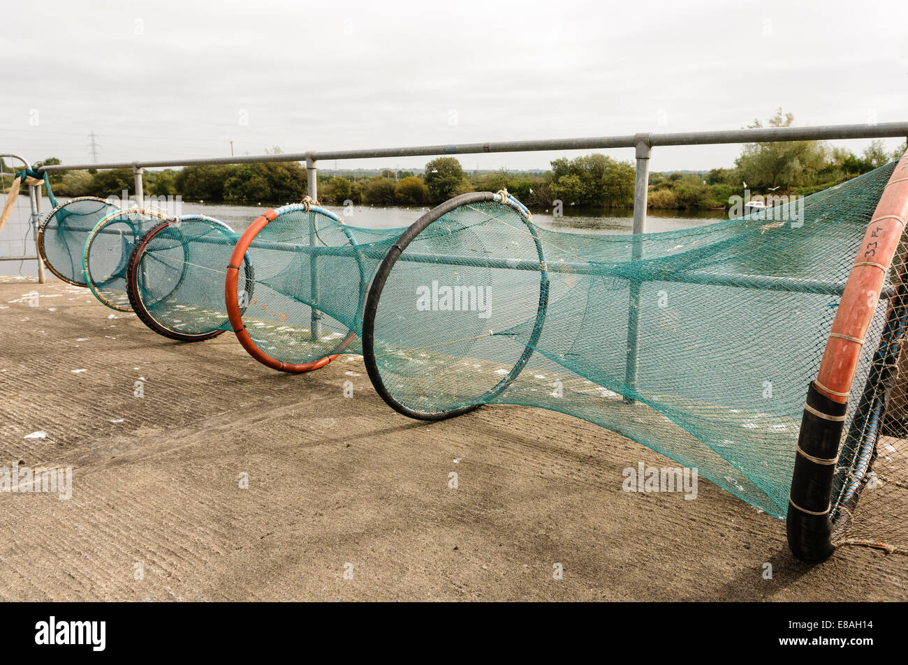 An eel fishing net drying at the side of a river Stock Photo - Alamy