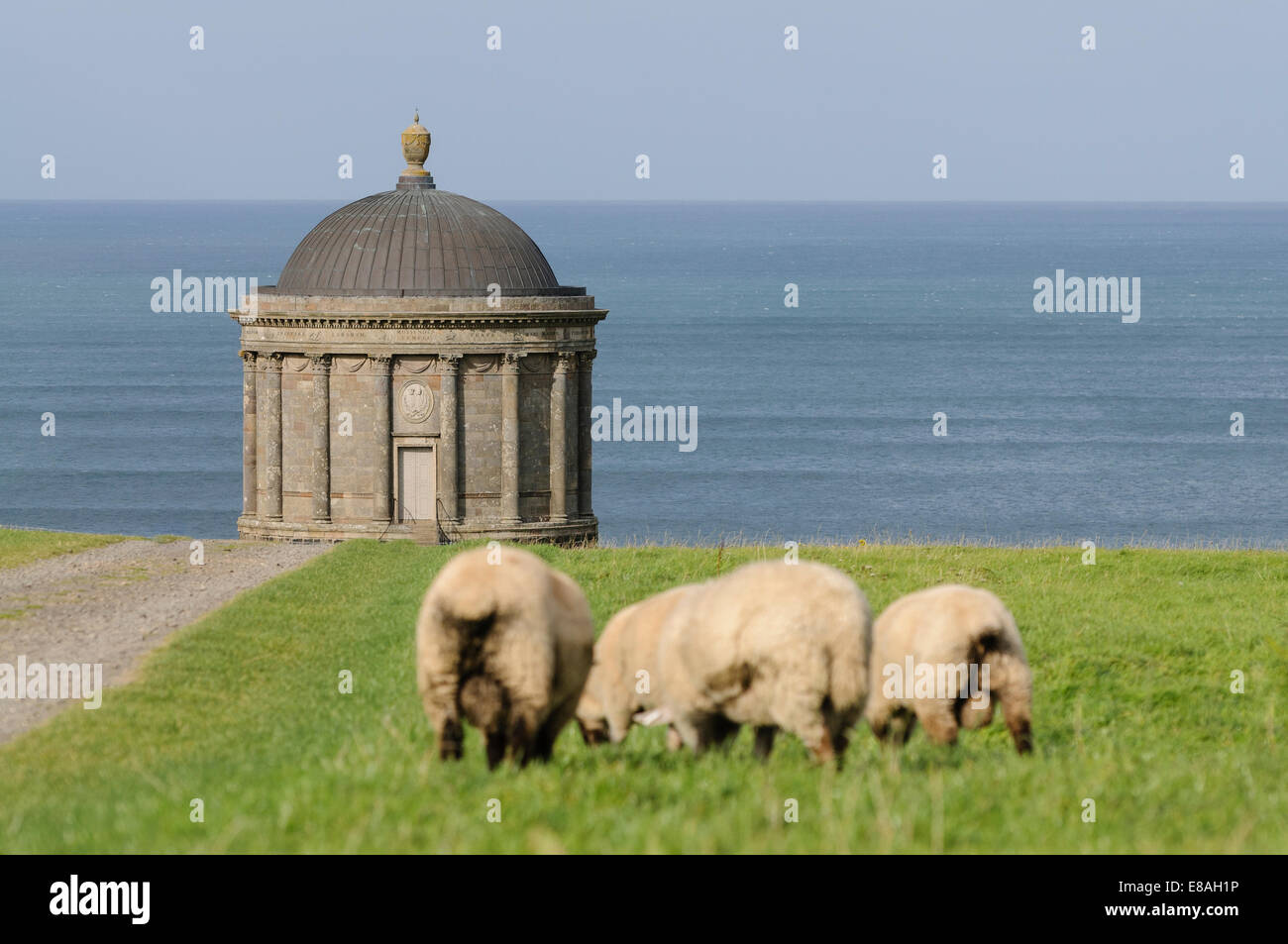 Mussenden Temple, at Downhill Demesne, Northern Ireland Stock Photo - Alamy