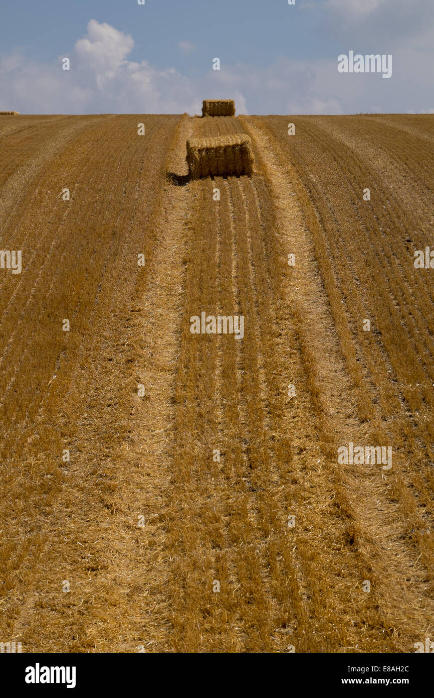 A field of Cut hay with two bales Stock Photo - Alamy