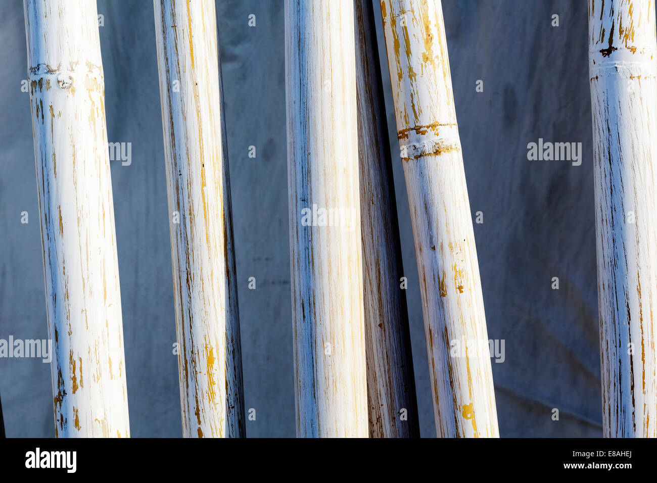 Painted Bamboo High Resolution Stock Photography and Images - Alamy