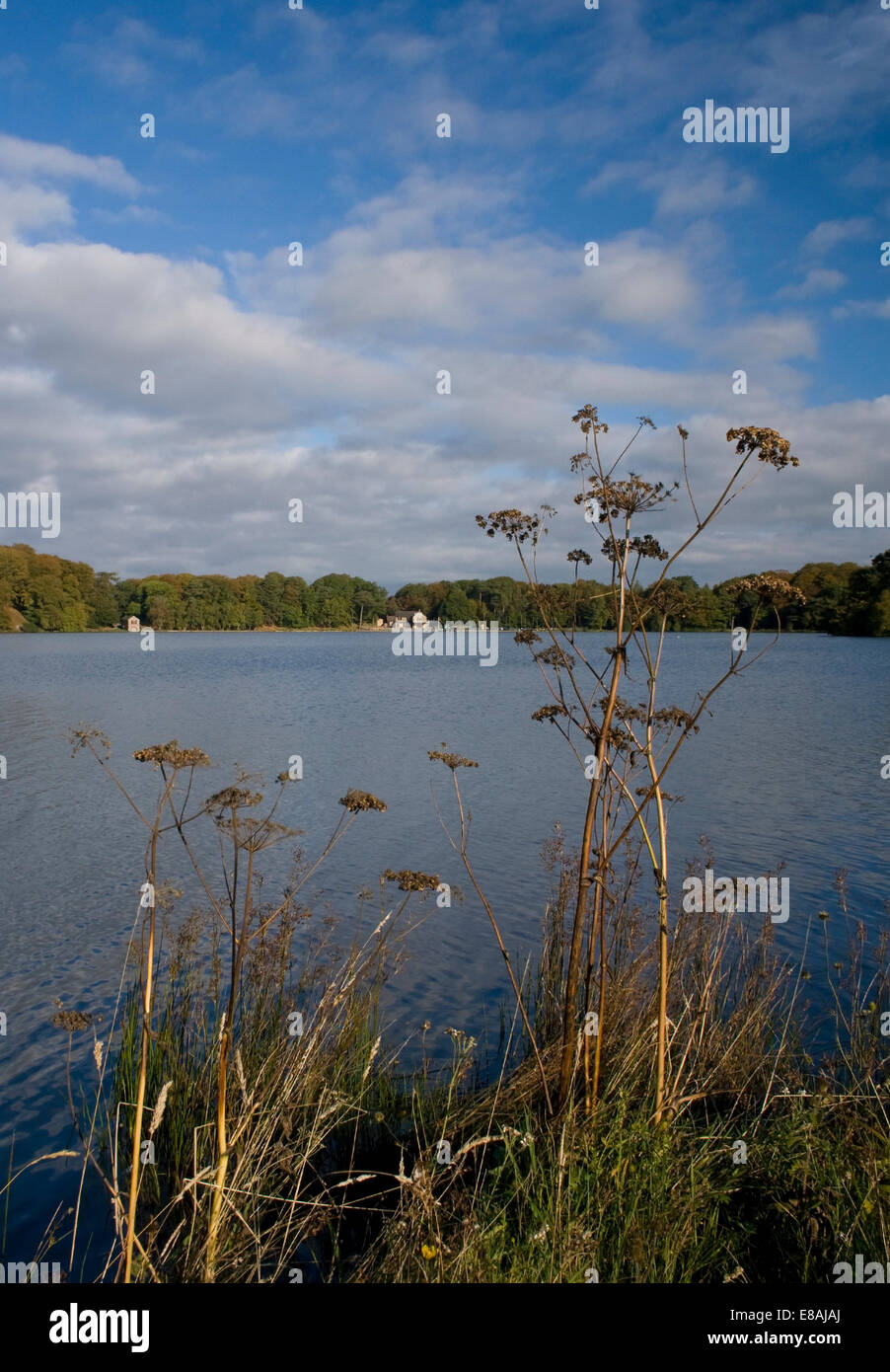 Talkin Tarn Country Park High Resolution Stock Photography and Images ...