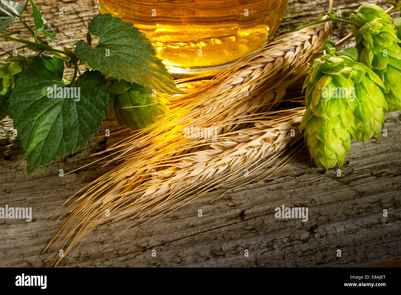Beer hops hi-res stock photography and images - Alamy