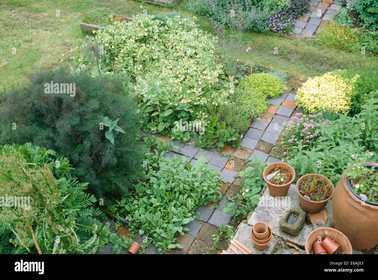 Old terracotta pots beside brick path in herb garden with lush green ...