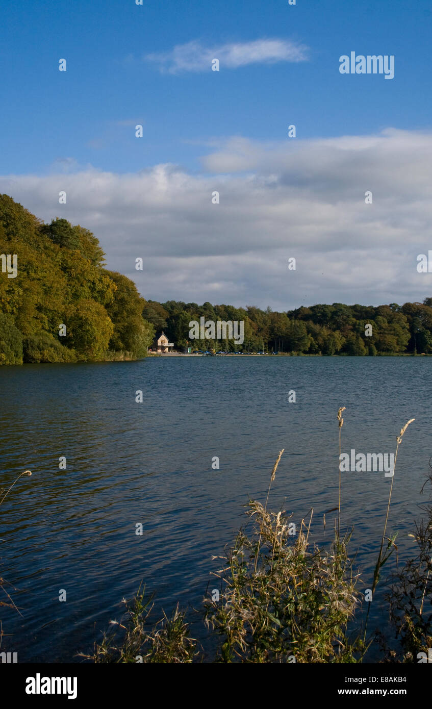 Talkin tarn country park hi-res stock photography and images - Alamy
