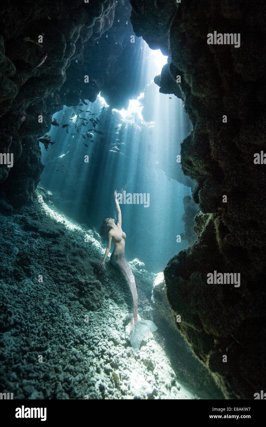 Underwater view of mermaid looking up from sea cave Stock Photo - Alamy