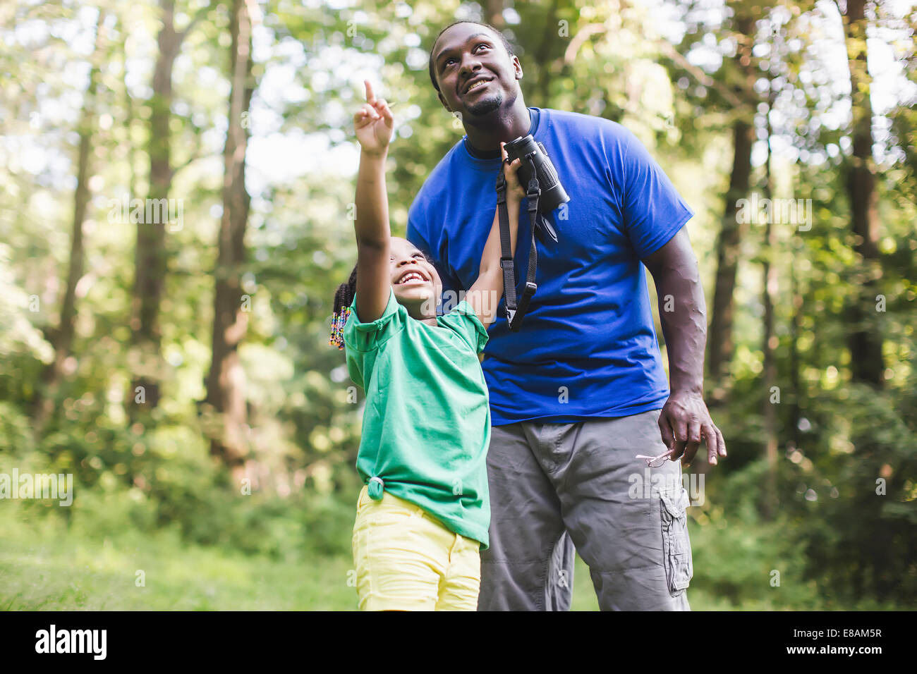Father bird hi-res stock photography and images - Alamy