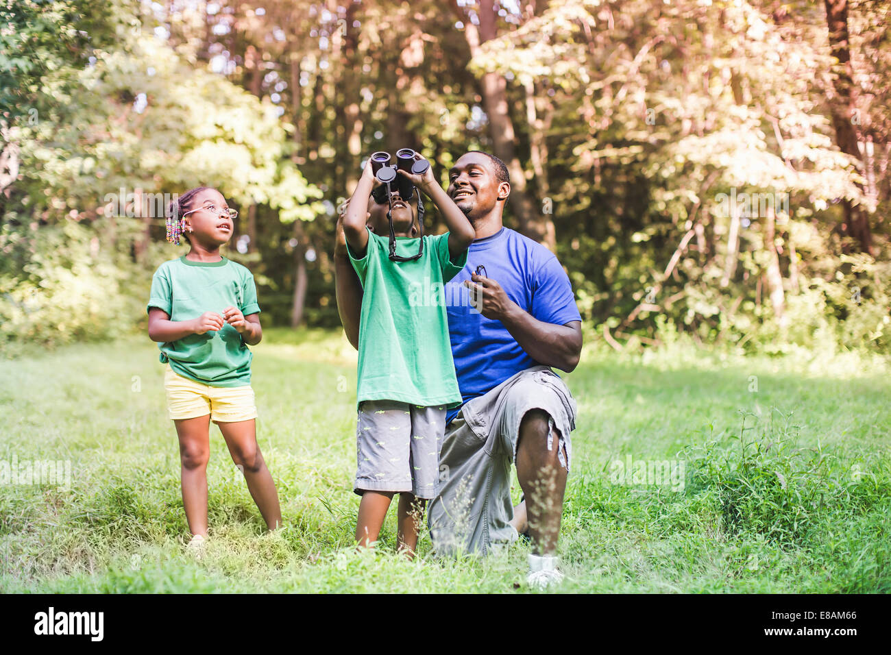 Bird nurturing hi-res stock photography and images - Alamy