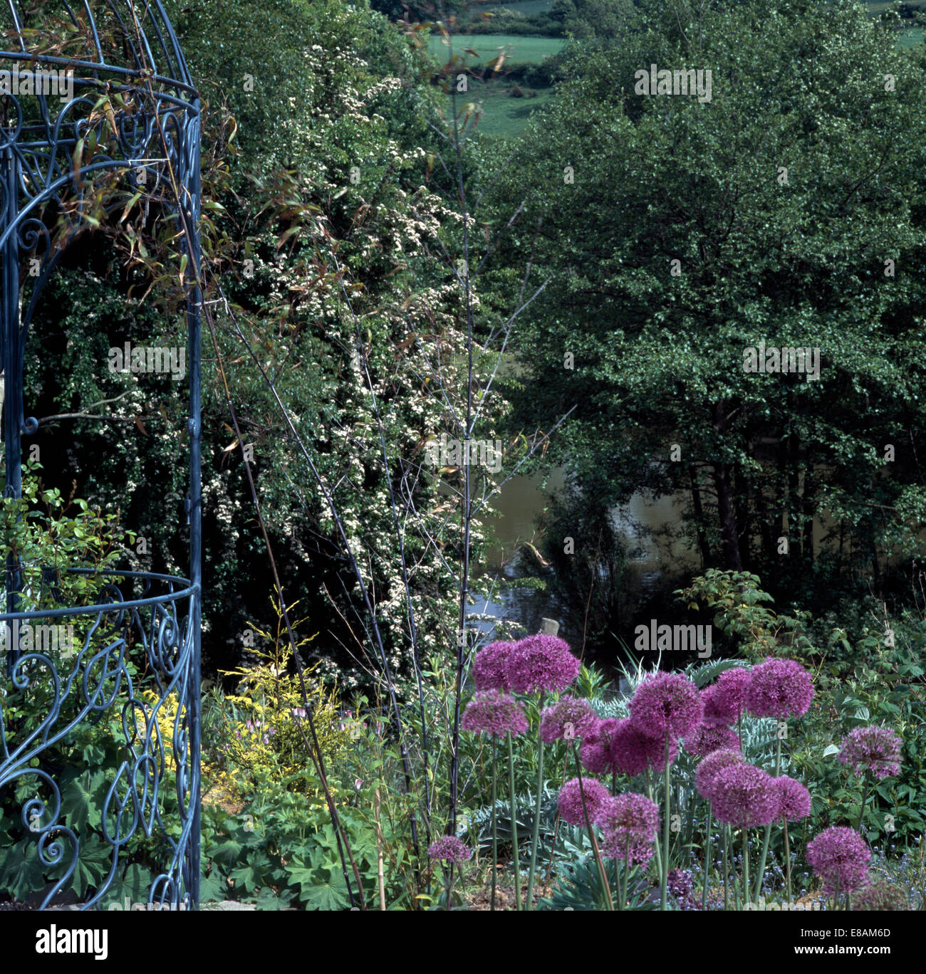 Purple border hi-res stock photography and images - Alamy