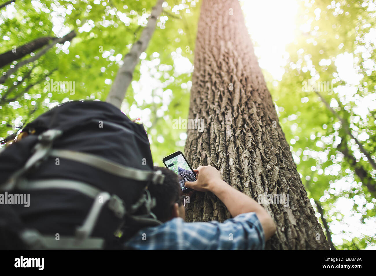 Height tall man hi-res stock photography and images - Alamy