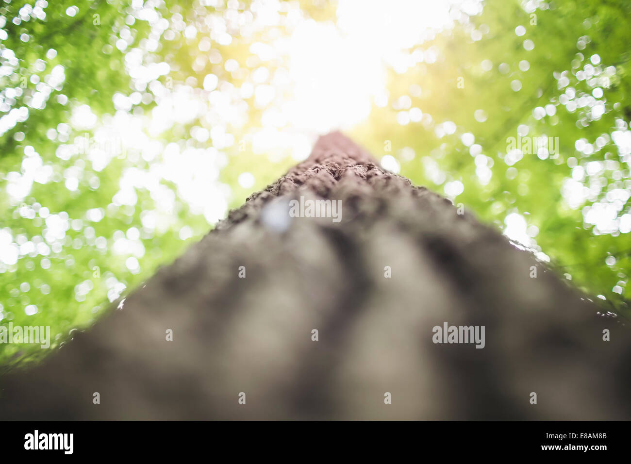 Low angles views hi-res stock photography and images - Alamy