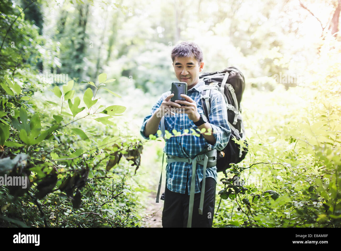 Hiker taking photo with camera phone in forest Stock Photo - Alamy